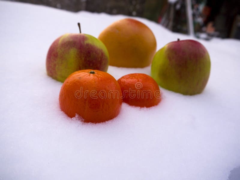 Fruit in the snow stock photo. Image of snow, cold, apple - 49519340