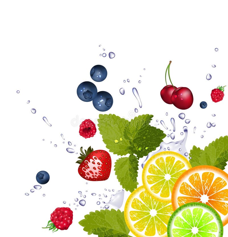 Fruit and splash of water stock vector. Illustration of juice - 31750630