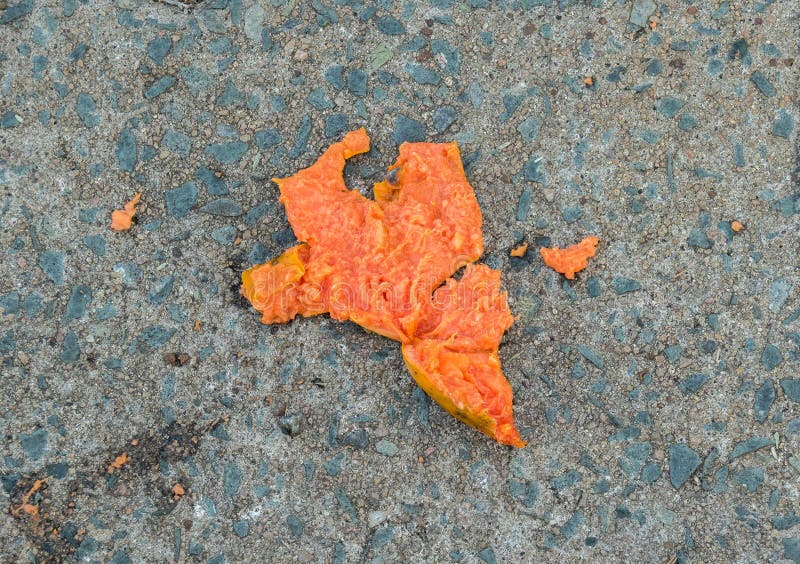 Fruit Splattered on the Ground Stock Image - Image of mishap, blemished ...
