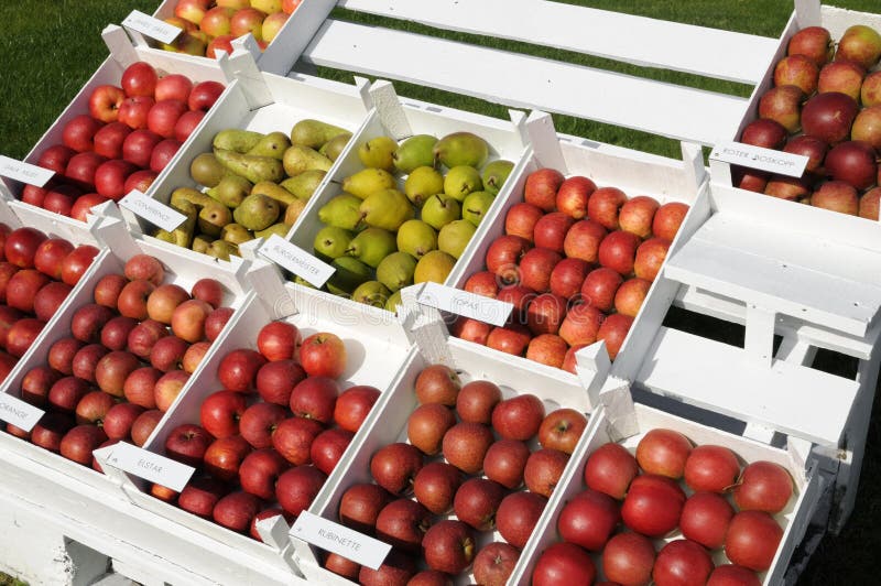 Fruit Stall 2. stock photo. Image of display, vegetables - 141052