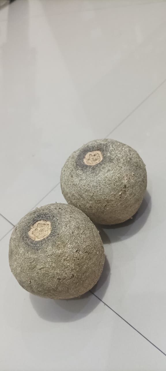 The Fruit of Steps in Indonesia Stock Photo - Image of flooring, produce: 256396774