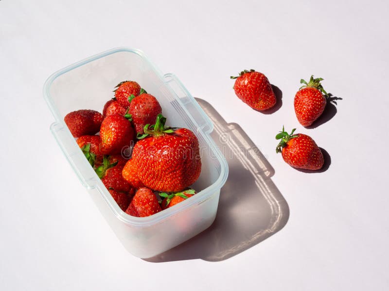 Lunch Container: Strawberries in Plastic Box on Light Pink Background ...