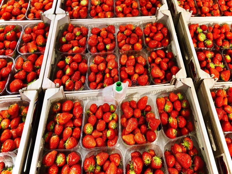 Strawberry boxes stock photo. Image of food, strawberry - 181944020