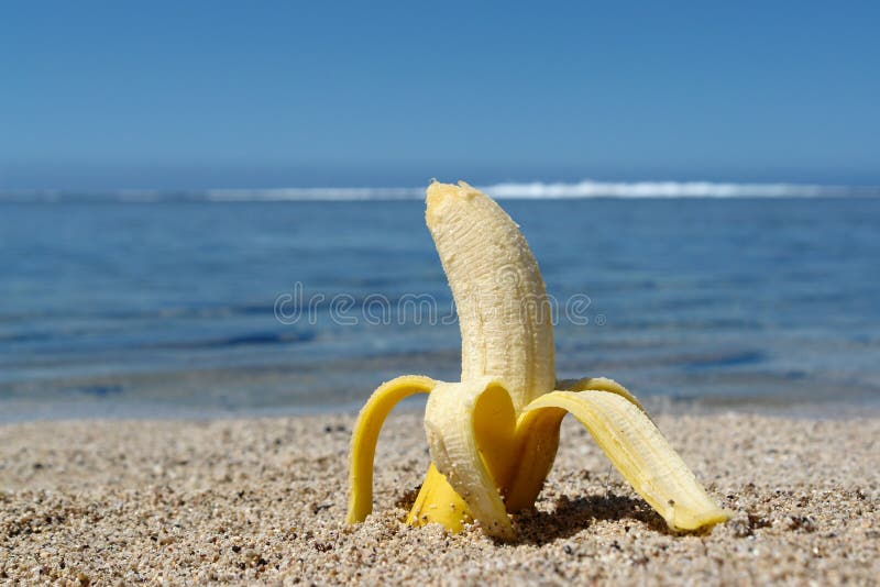 Fruit sur la plage, banane photo stock. Image du nutrition - 10440116