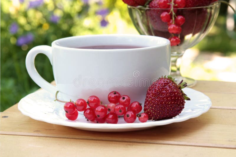 Fruit tea stock image. Image of fruit, nature, organic - 15484161