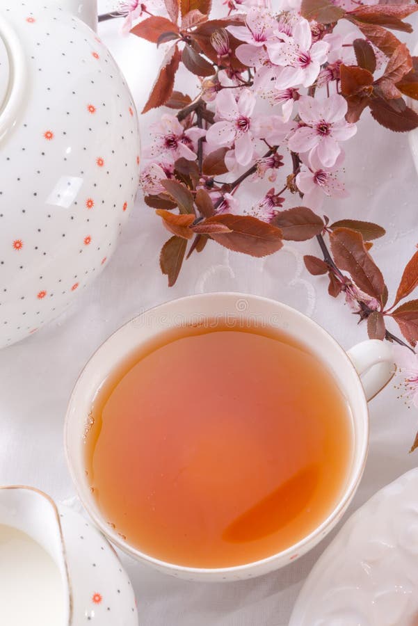 Fruit tea stock image. Image of liquid, aroma, health - 39552891