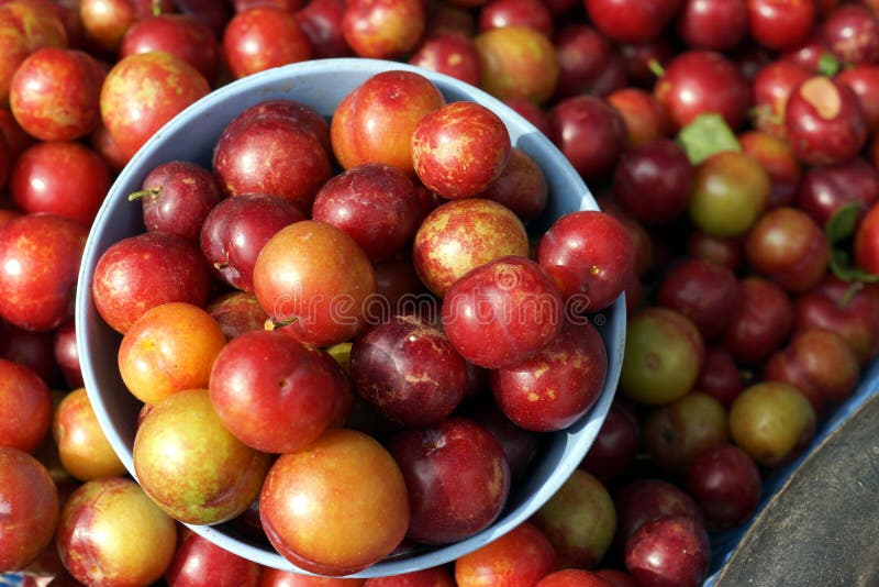 Fruit texture stock image. Image of texture, color, ripe - 49080927