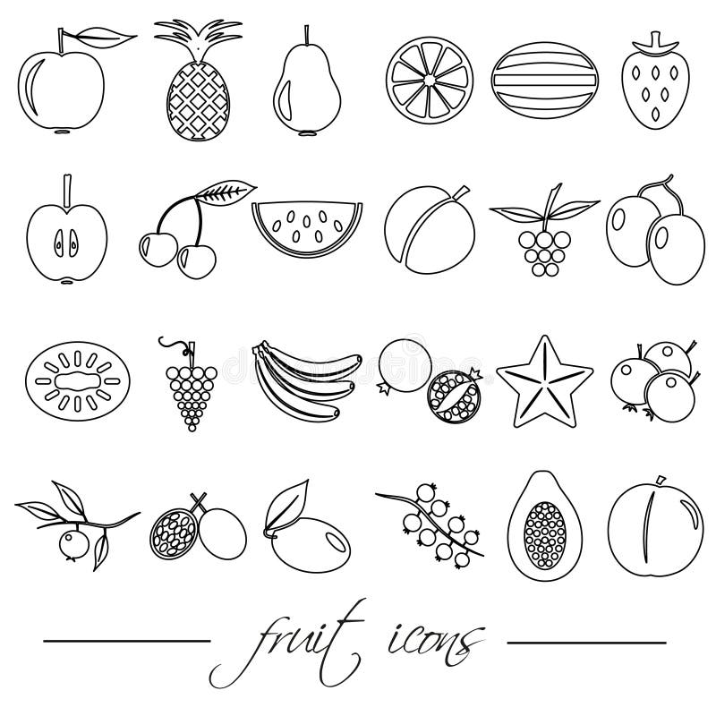 Fruit outline icons set stock vector. Illustration of healthy - 43619581