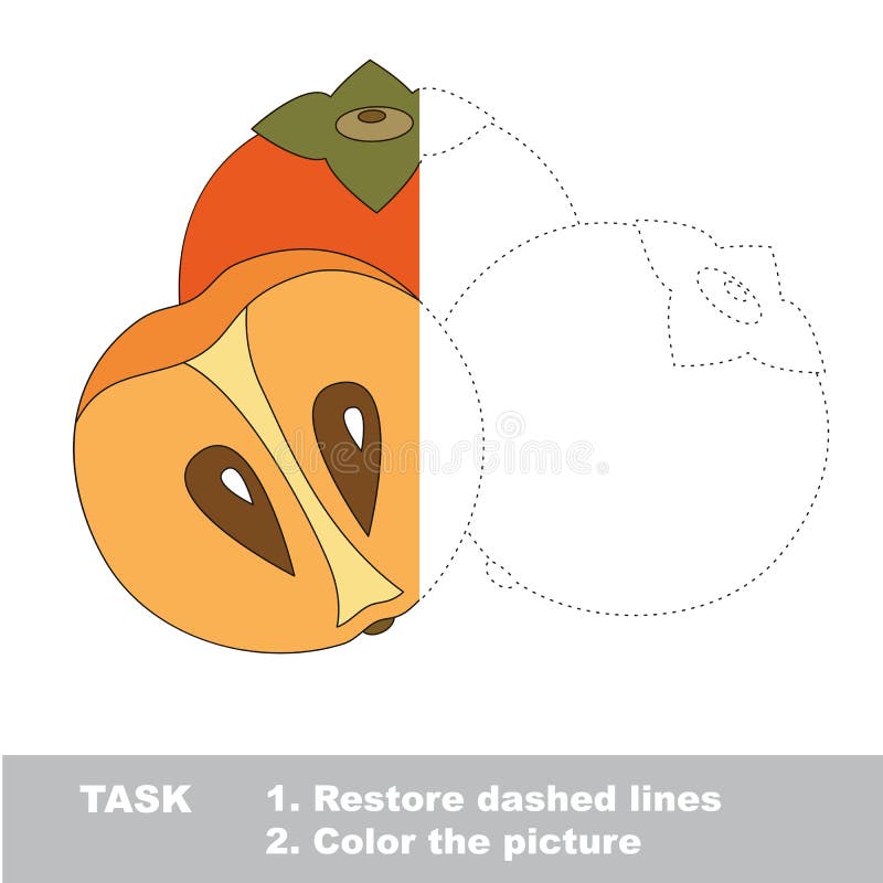 Tree Persimmons Stock Illustrations – 579 Tree Persimmons Stock ...