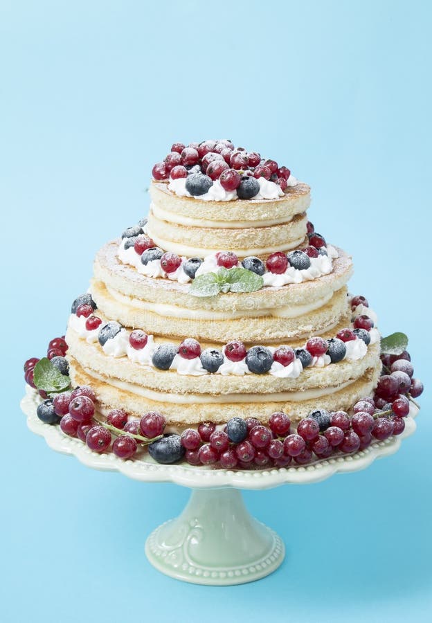 Fruit torte stock photo. Image of blue, domestic, baking - 155213290