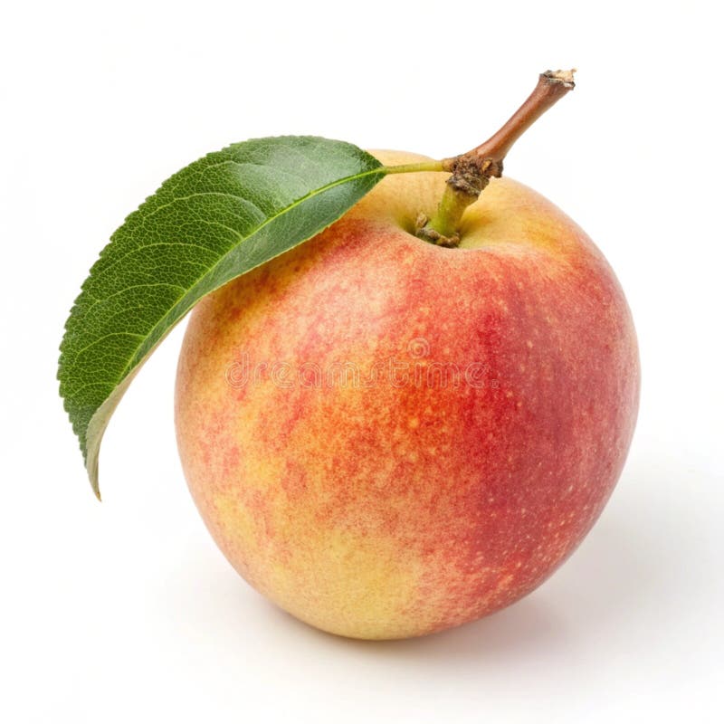 Fruit on Transparent Background Stock Illustration - Illustration of ...