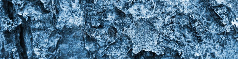Fruit Tree Bark Closeup. Abstract Nature Banner. Blue Tinted Textured ...