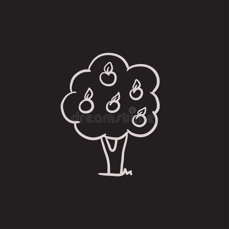 Fruit tree sketch icon. stock vector. Illustration of harvest - 78163056