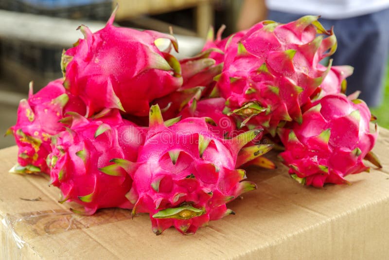 Fruit Tropical Pitaya& X28 ; Dragon Fruit Rouge Et X29 ; Image stock ...