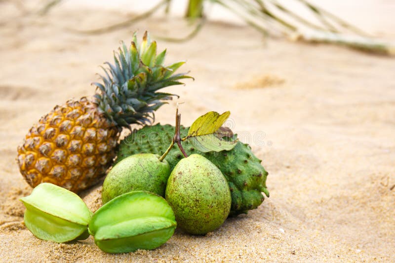 Fruit under the palm tree stock image. Image of guanabana - 127090689
