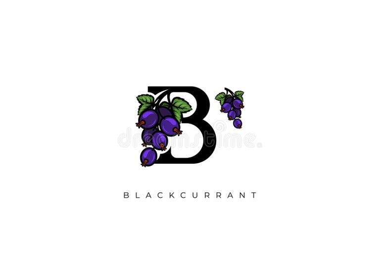 Black BLACKCURRANT FRUIT Vector, Great Combination of Blackcurrant ...