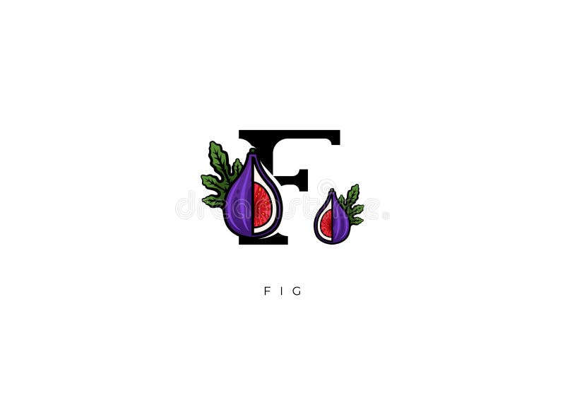 Purple FIG FRUIT Vector, Great Combination of Fig Fruit Symbol with ...