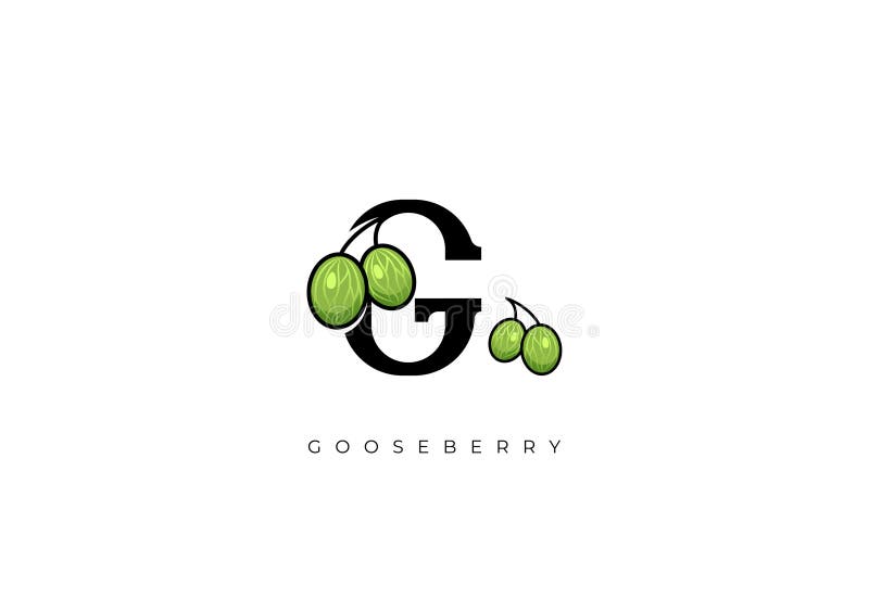 Green GOOSEBERRY, AMLA FRUIT Vector, Great Combination of Gooseberry ...