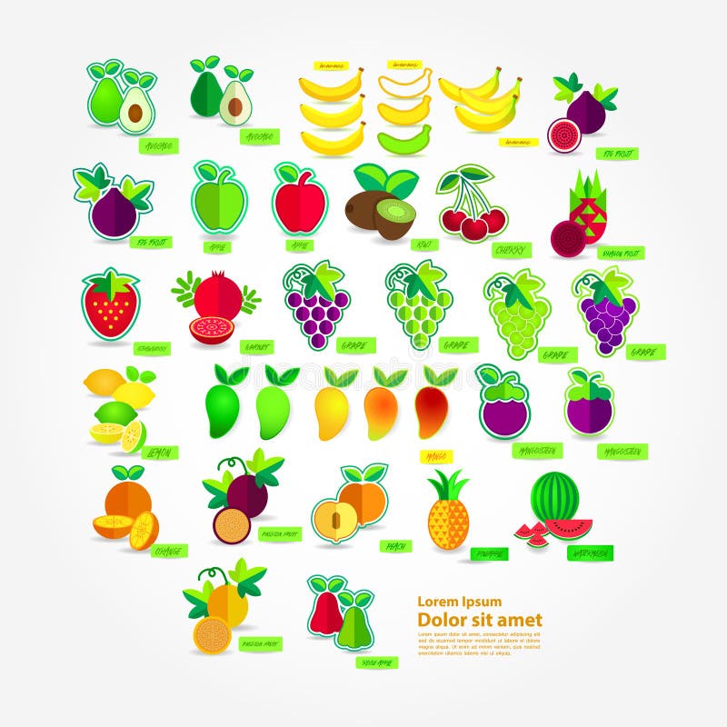 Fresh Fruit Graphic Vector Illustration. Stock Vector - Illustration of ...