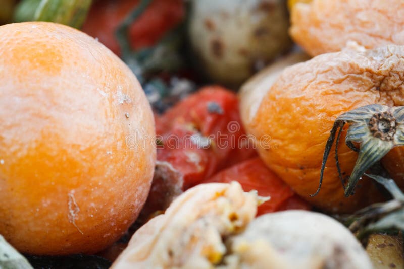 Rotting vegetables stock photo. Image of decompose, blemish - 6870794