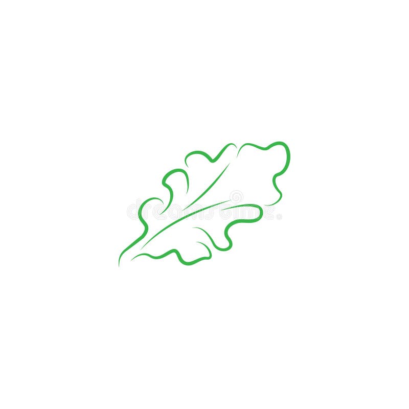 Vegetable Spinach Leaf Logo Vector Outline Stroke Stock Vector ...