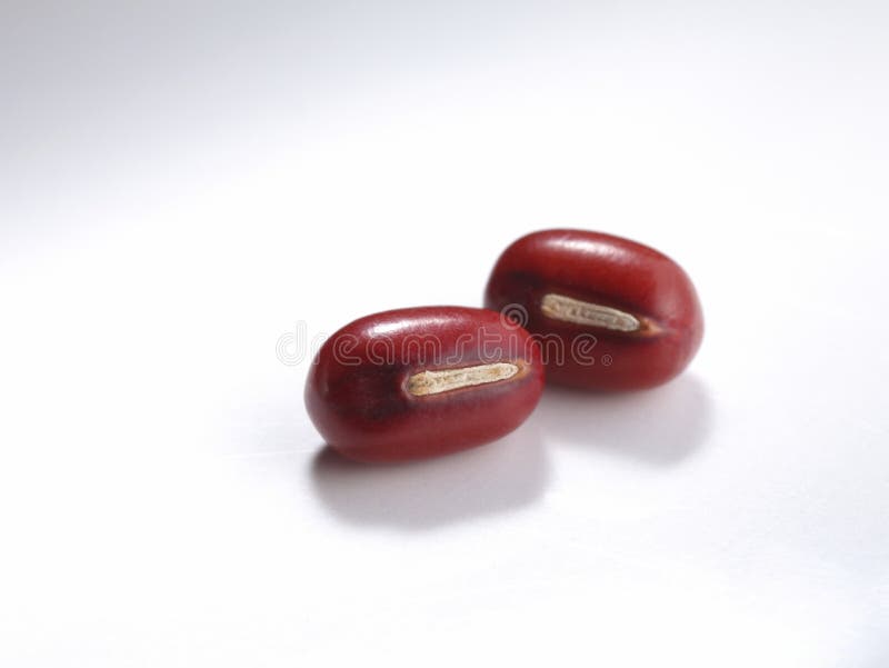 Fruit & Vegetable stock image. Image of black, indoors - 92220311