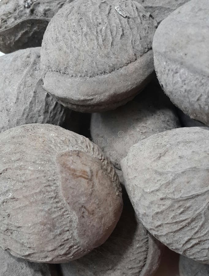 Fruit for Vegetables with Ash Hard Skin Stock Photo - Image of skin ...