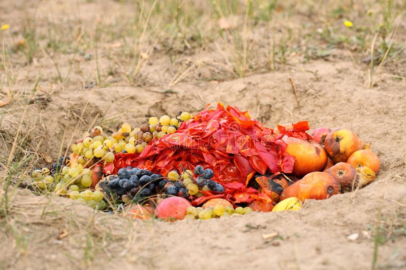 Fruit and Vegetables Leftovers Collected in a Trench in the Backyard ...