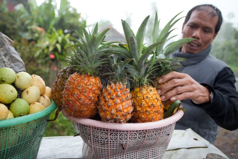 Fruit vendor editorial stock photo. Image of fair, fairtrade - 23441113