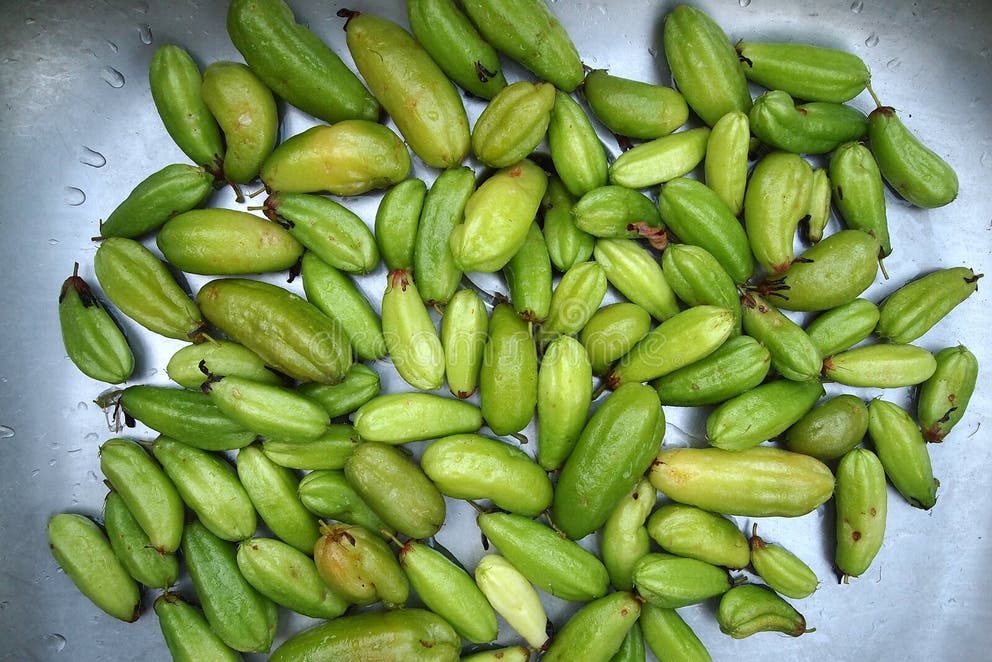 Fruit stock image. Image of color, store, fruit, eating - 87332741