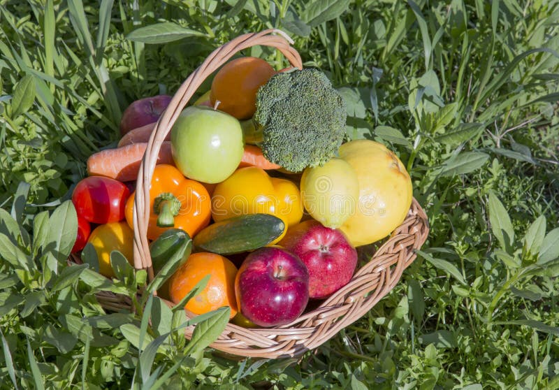 Fruit and vegetable basket stock image. Image of crop - 50795309