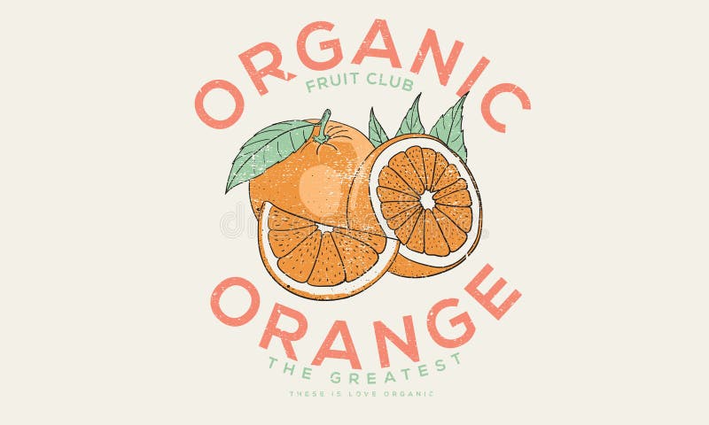 Fruit Vintage T-shirt Design. Orange Farm Artwork Stock Vector ...