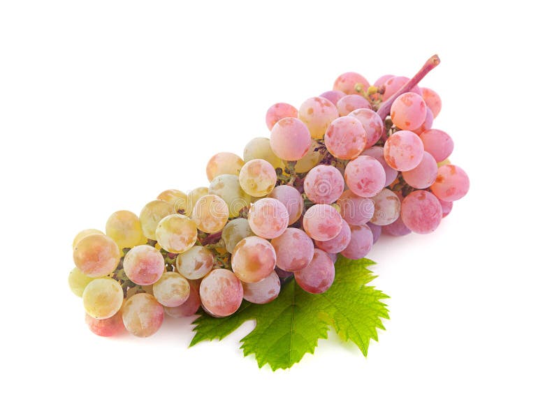Fruit violet de raisin photo stock. Image du raisin, juteux - 44827042