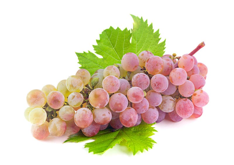 Fruit violet de raisin photo stock. Image du groupe, dessert - 44141766