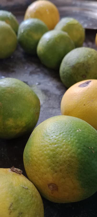 Mausami Fruit Stock Photos - Free & Royalty-Free Stock Photos from ...