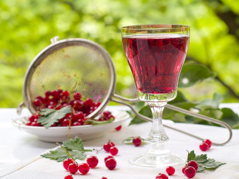 Fruit wine stock photo. Image of gourmet, alcoholic, fruit - 15426290