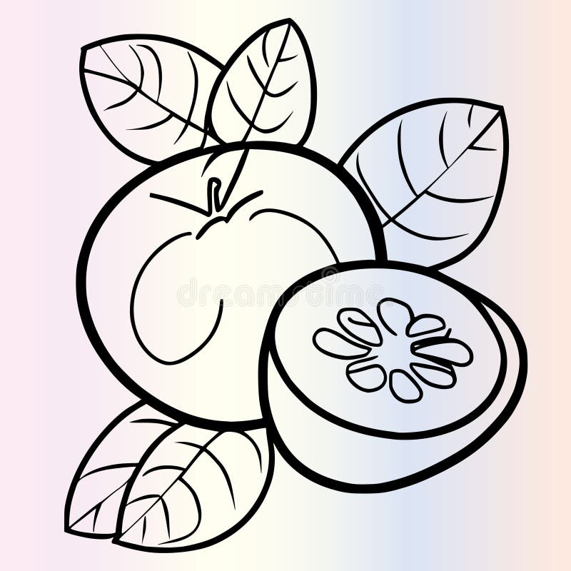 Fruit Ximenia Coloring Page for Kids Stock Vector - Illustration of ...