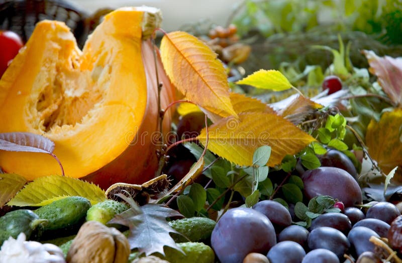Fruitful autumn stock image. Image of leaves, harvest - 3404757