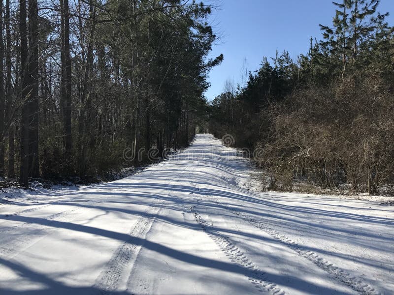 Fruithurst, Al stockbild. Bild von abgedeckt, schnee - 107914415