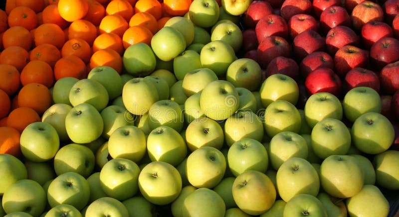 Fruits stock photo. Image of oranges, apples, fresh, aligned - 242528