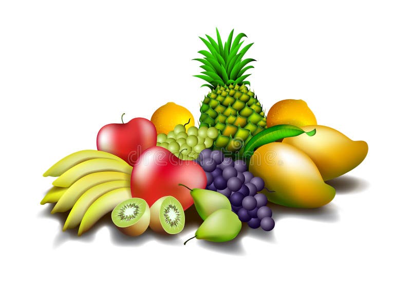 Fruits composition stock vector. Illustration of delicious - 10435738