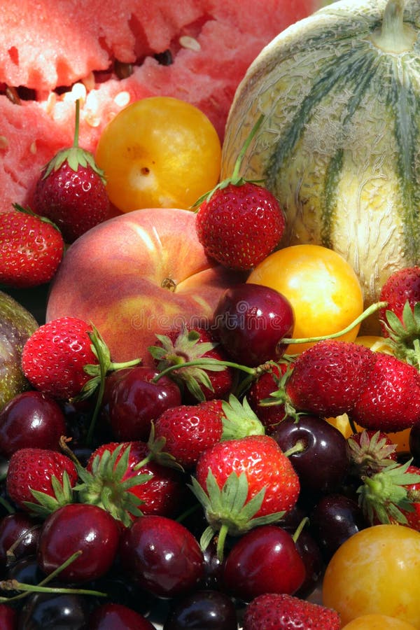 Fruits stock photo. Image of fruity, full, nutritious - 5148168