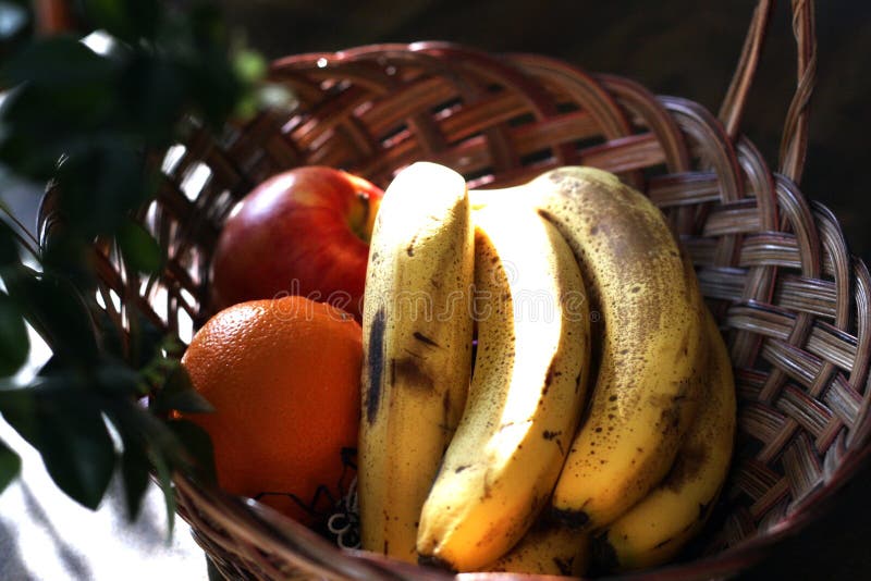 Free Nature pictures, photos & images - Royalty-Free and Public Domain ...