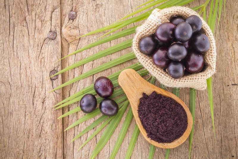 896 Acai Palm Tree Stock Photos - Free & Royalty-Free Stock Photos from ...