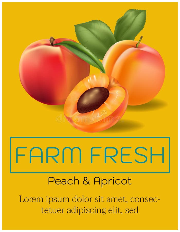 Fruits on Advertising Poster - Vector Stock Vector - Illustration of ...