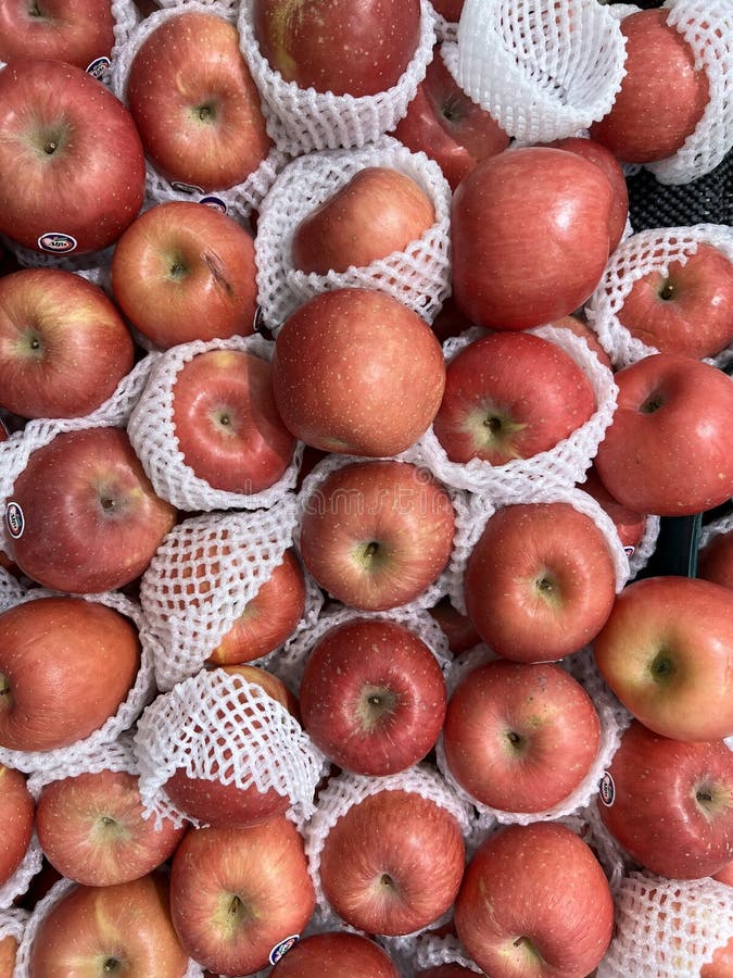 Fruits - Apples stock photo. Image of fresh, group, bulb - 269512928