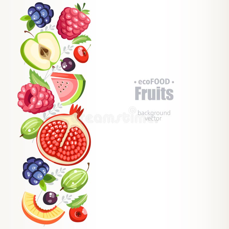 Fruits background vertical stock vector. Illustration of gooseberry ...