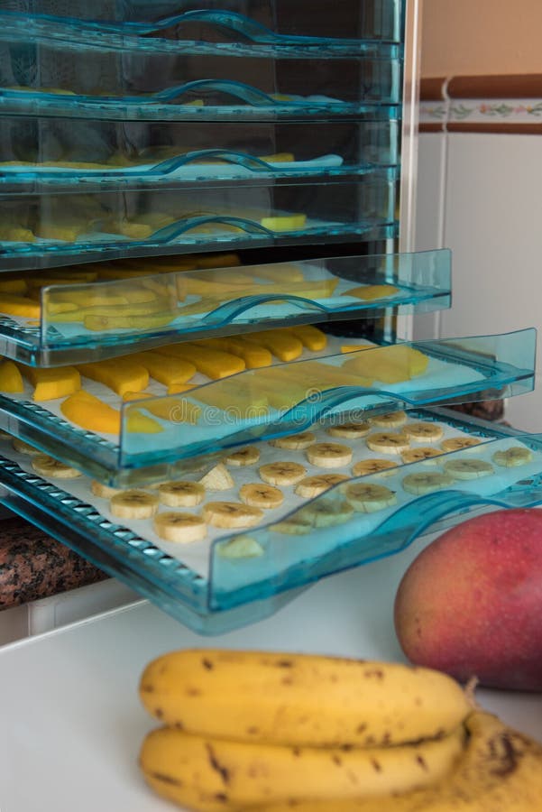 Drying Fruits in the Drying Machine Stock Photo - Image of dessert ...