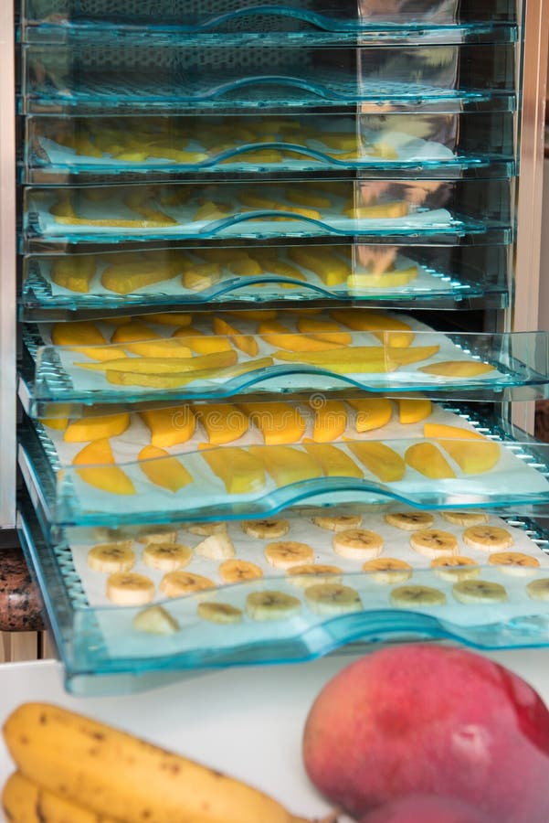 Drying Fruits in the Drying Machine Stock Photo - Image of paper ...