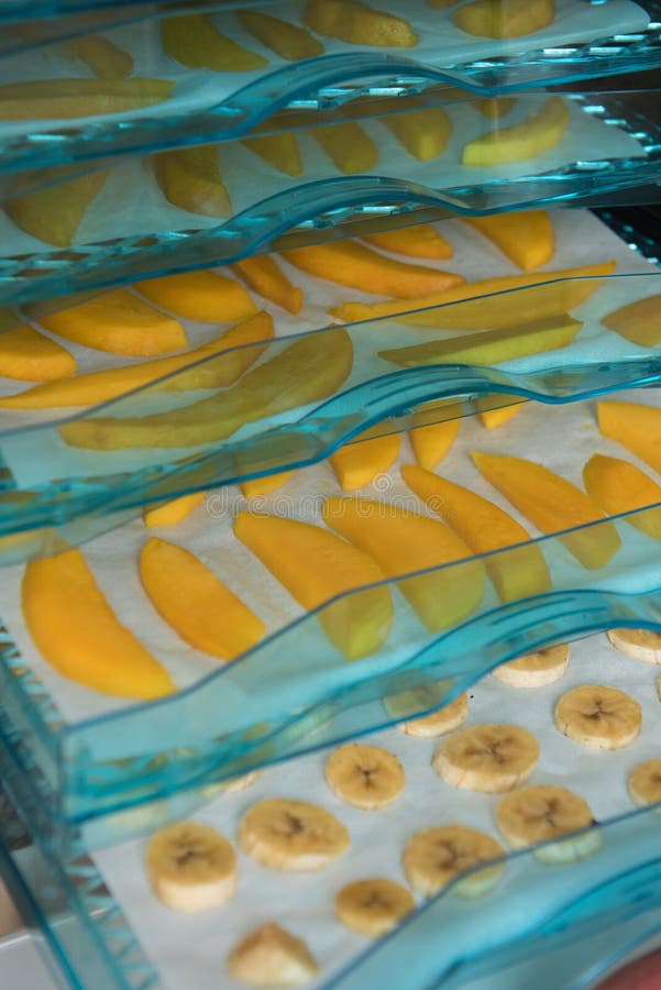 Drying Fruits in the Drying Machine Stock Photo - Image of food, drying ...